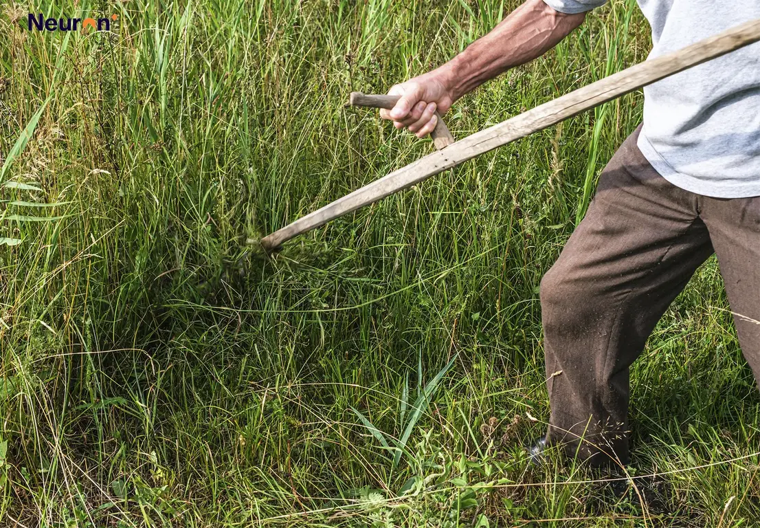 ¿Qué es la marcha del segador? Causas, síntomas y tratamiento| Neuron